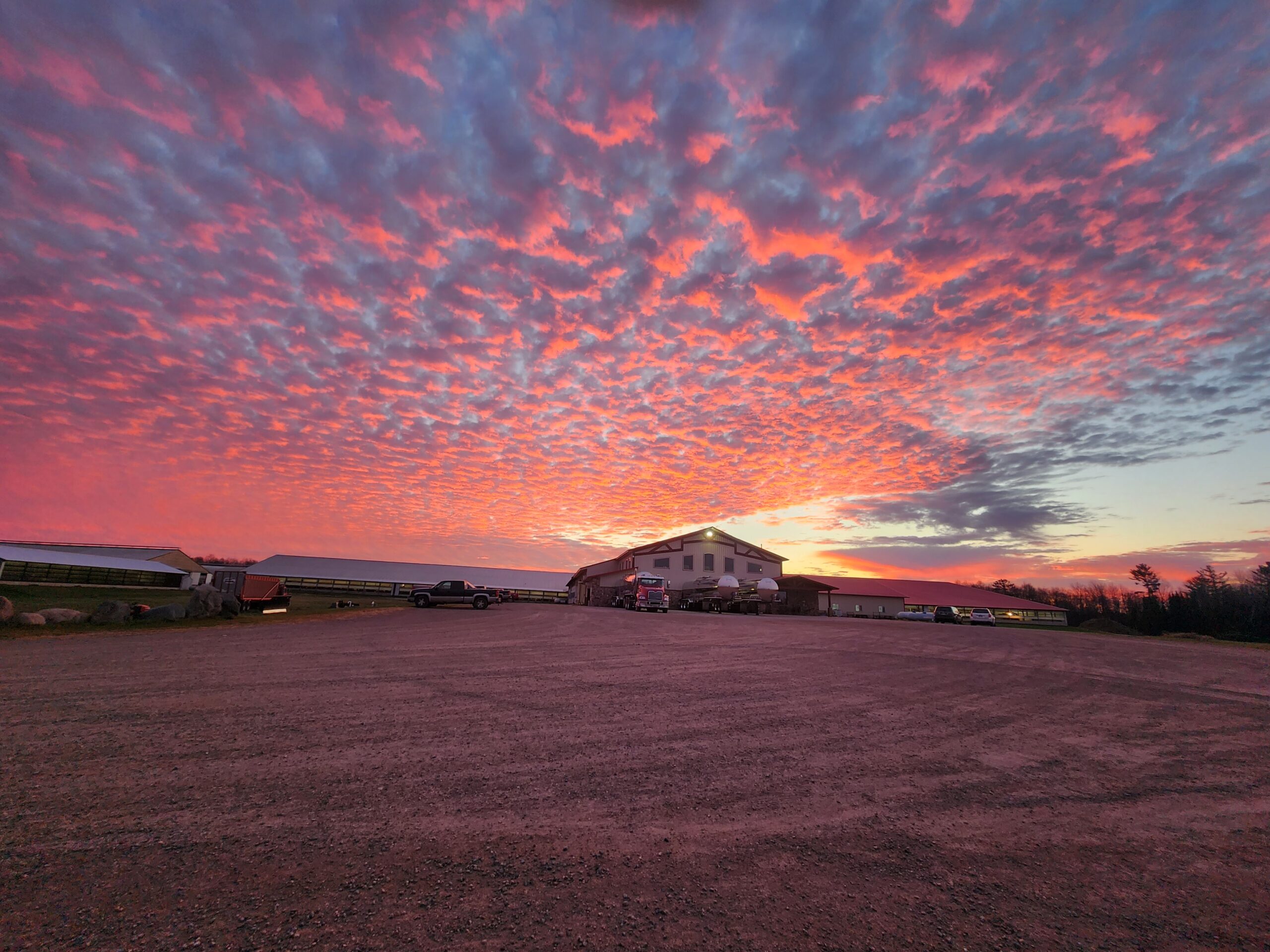 Foremost Farms: Dairy Co-Op