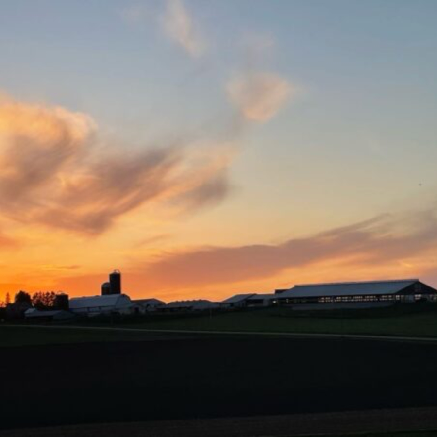 Statz Family Farm - Foremost Farms