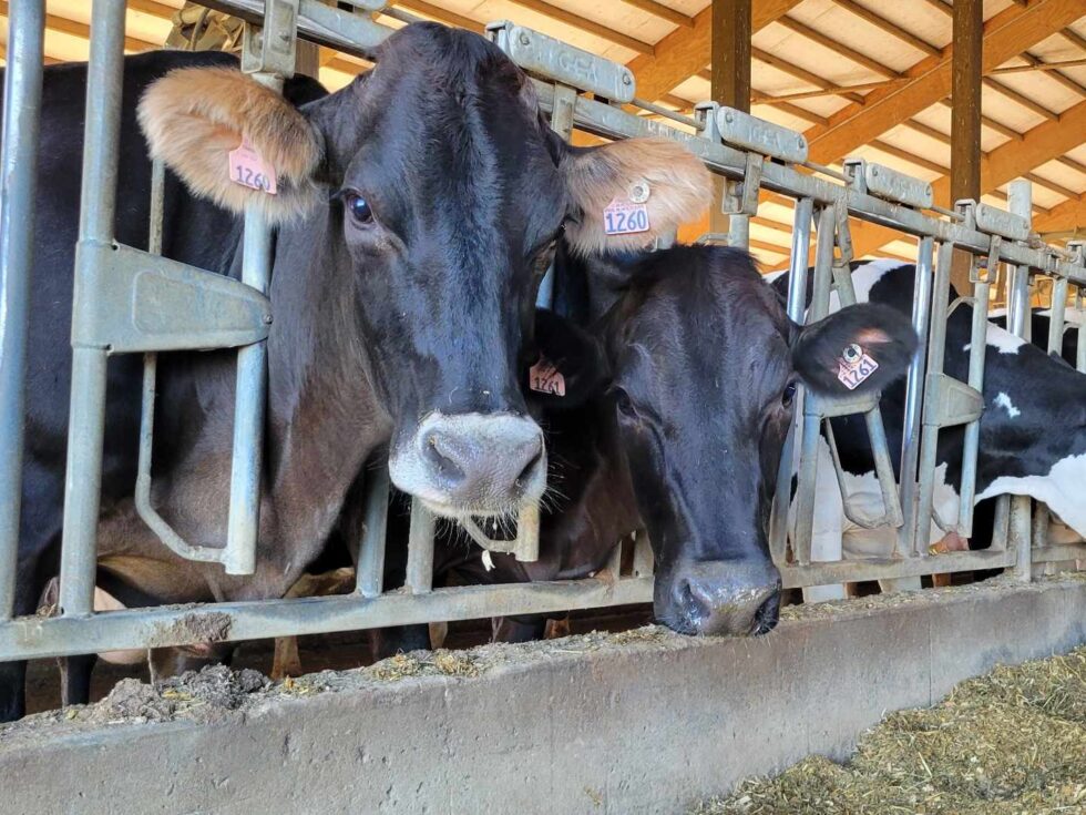Payne Farms Dairy - Foremost Farms