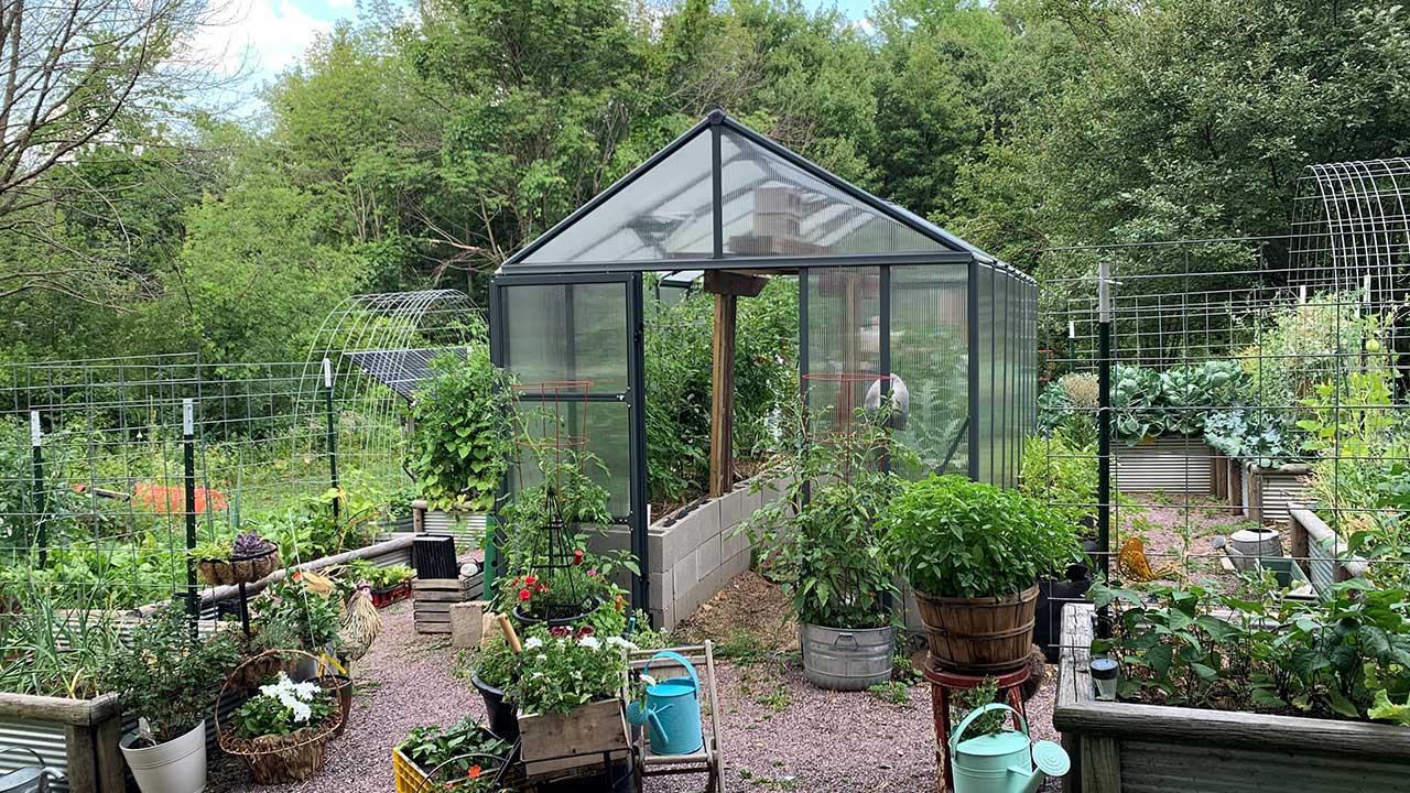 Harvesting Success: The Dual Life of a Commercial Projects Analyst and ...