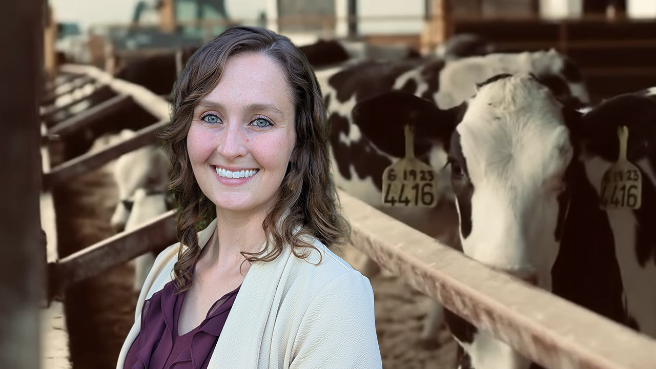 Driving Dairy Innovation: Meet Dairy Scientist Dana McCurdy - Foremost ...