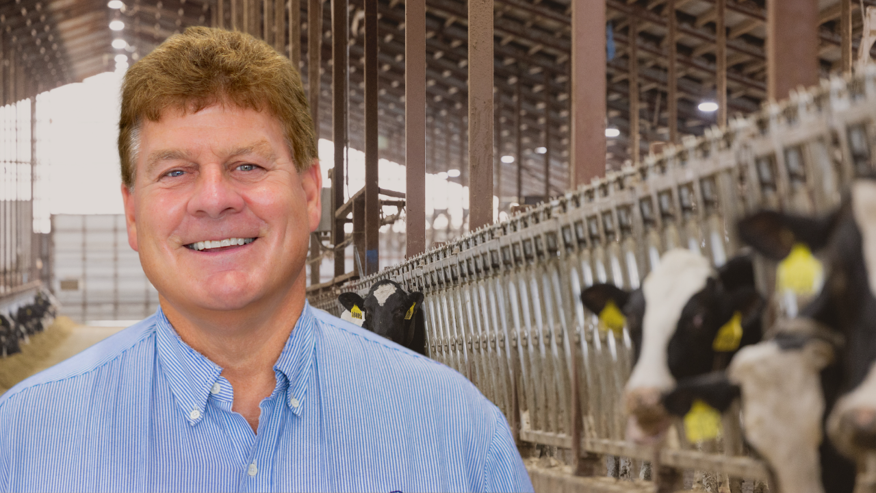 A Career Devoted to Supporting Dairy Farms: Meet Brian Ulness ...
